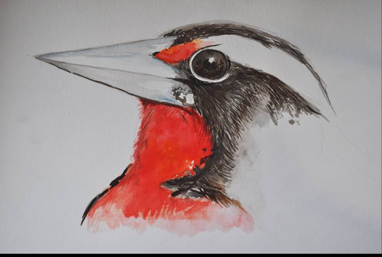 LOICA Drawing by Mauricio Gabella | Saatchi Art