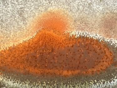 Petra Senn | Saatchi Art