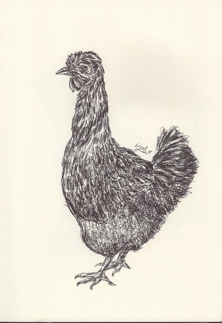 Ballpen Handsome Chickens 5 Drawing by Ballpointpen Illustrator ...