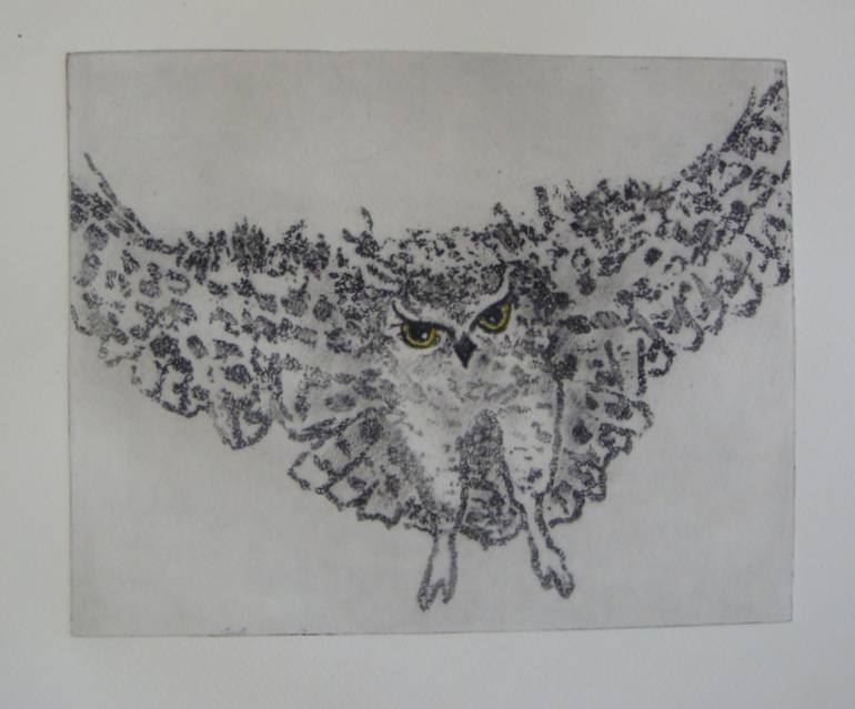 Owl Printmaking by Carol Aslin | Saatchi Art