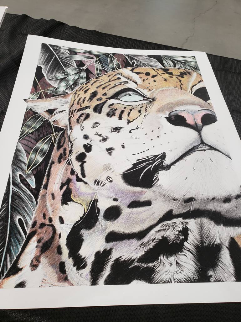 The Jaguar (embellished) Drawing by Robin Cox | Saatchi Art