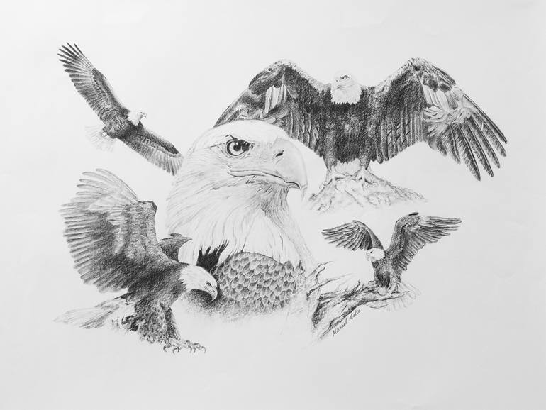 Eagle Montage Drawing by Michael Malta | Saatchi Art