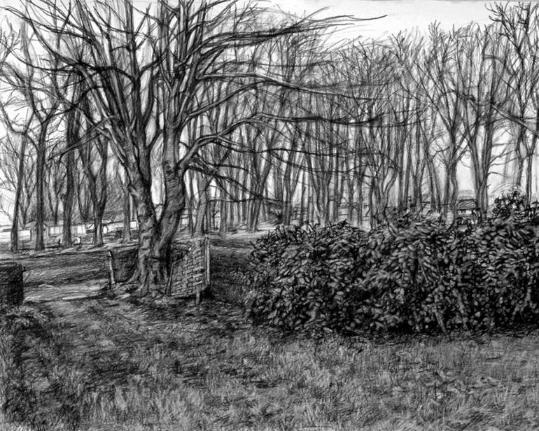 Landscape Study Drawing by Kenneth Cobb | Saatchi Art