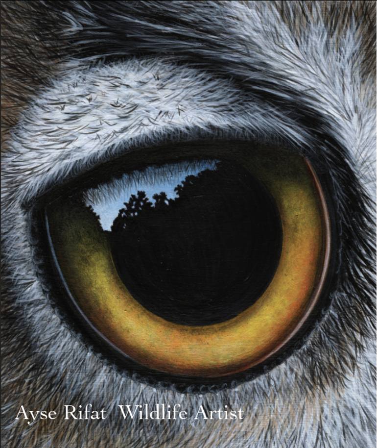 'EYE Painting by Ayse Rifat | Saatchi Art