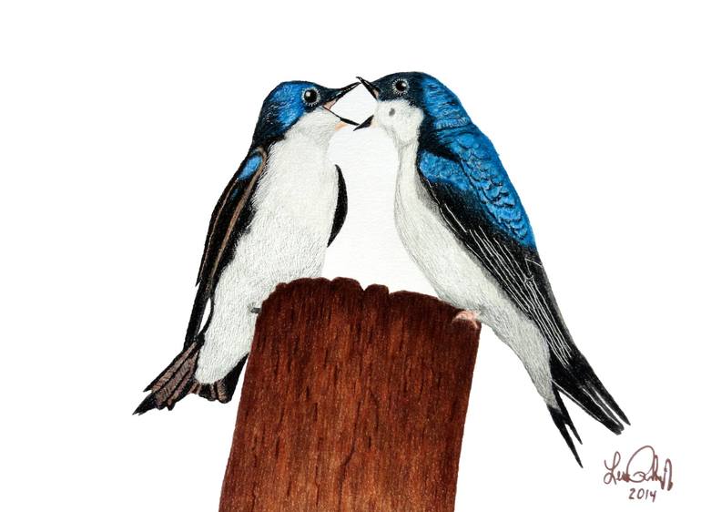 Fussing Drawing by Lester Phipps | Saatchi Art