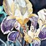Zebra Iris Painting by Judith Moore | Saatchi Art