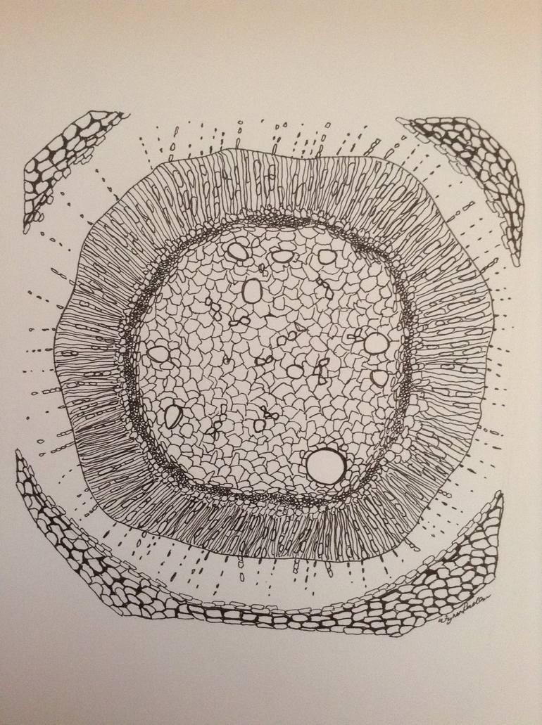 Close Cell Drawing by Wynona Baltazar | Saatchi Art