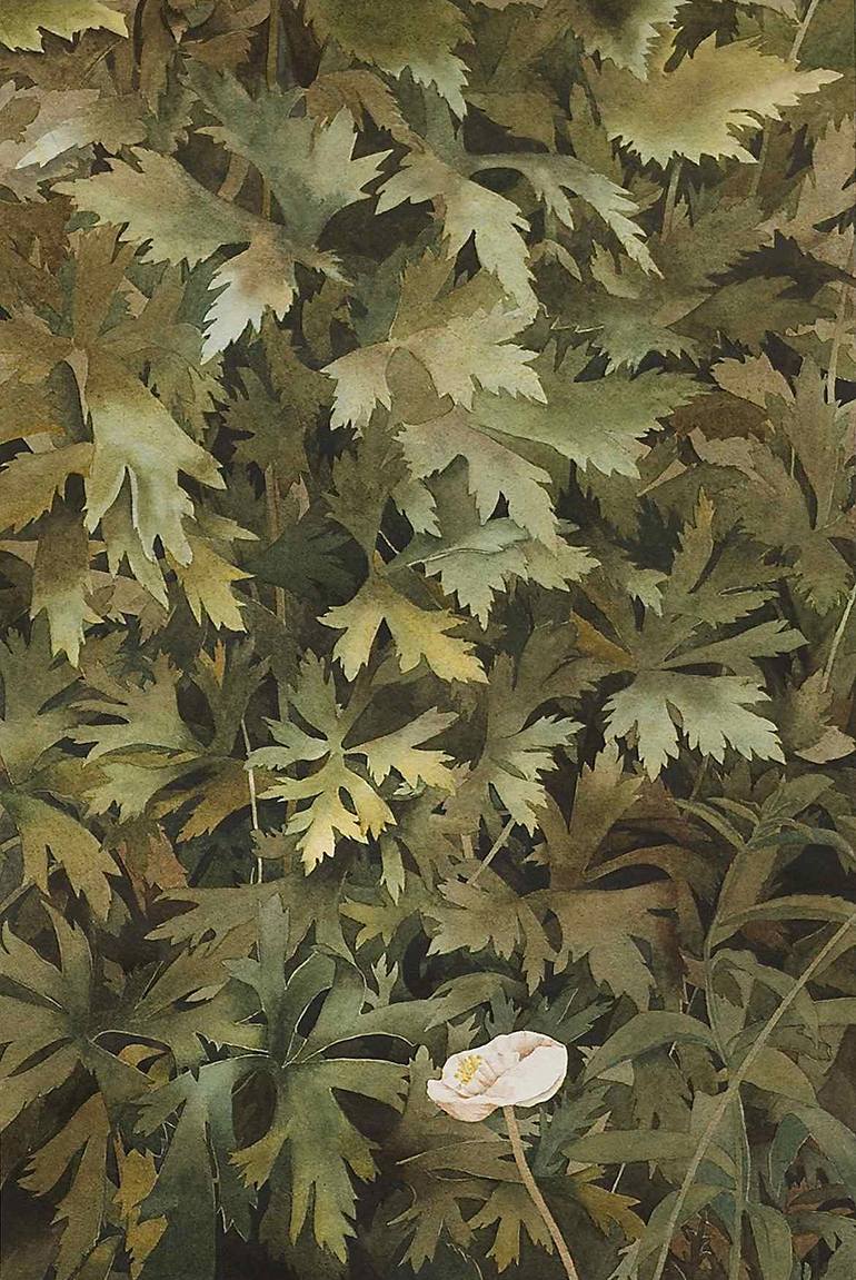 Monkshood Leaves and Poppy Painting by Alain Gavin | Saatchi Art