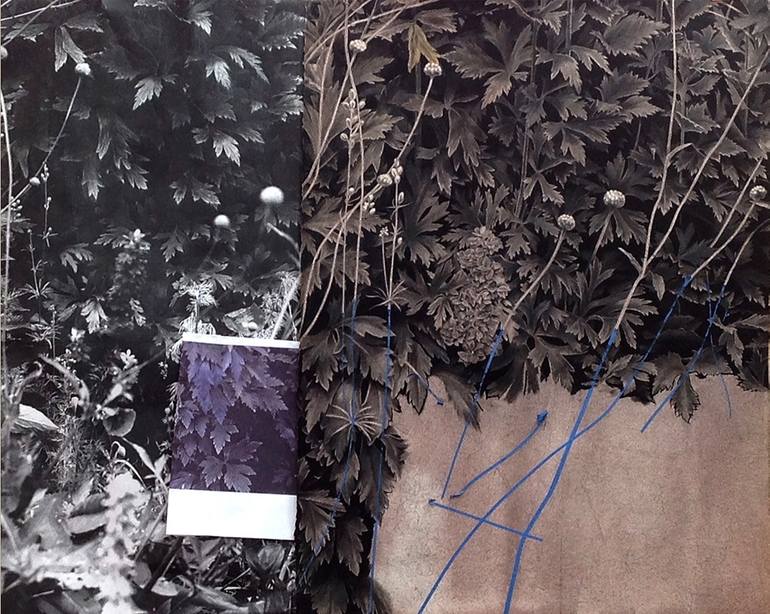 Monkshood Collage by Alain Gavin | Saatchi Art