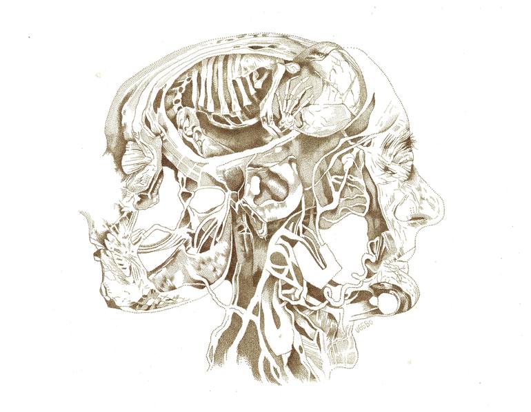 Anatomical Deconstruction Drawing by uggo gonzalez | Saatchi Art