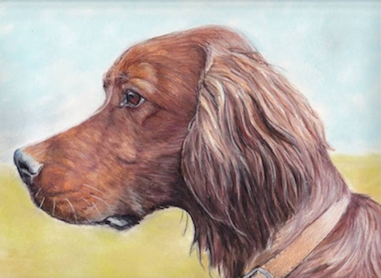 Irish Setter Drawing by Charlotte Yealey | Saatchi Art