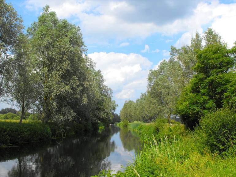 High Summer River Photography by Adam Delf | Saatchi Art