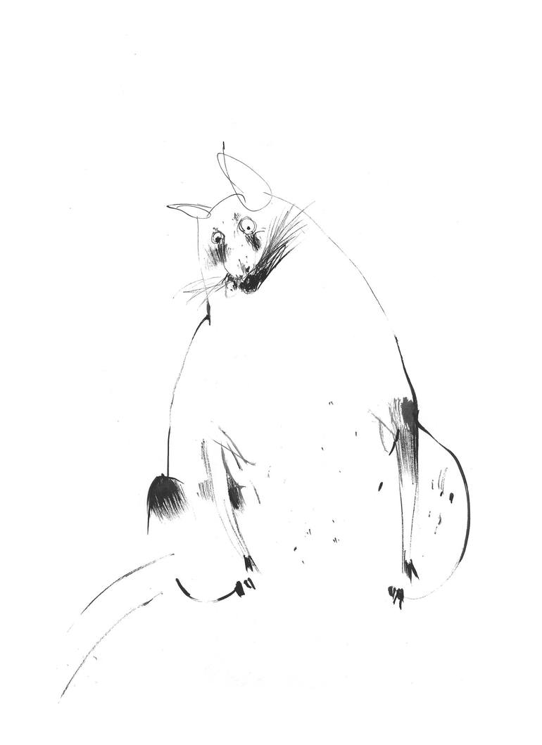 meow-meow-meow Drawing by Yulia Luchkina | Saatchi Art