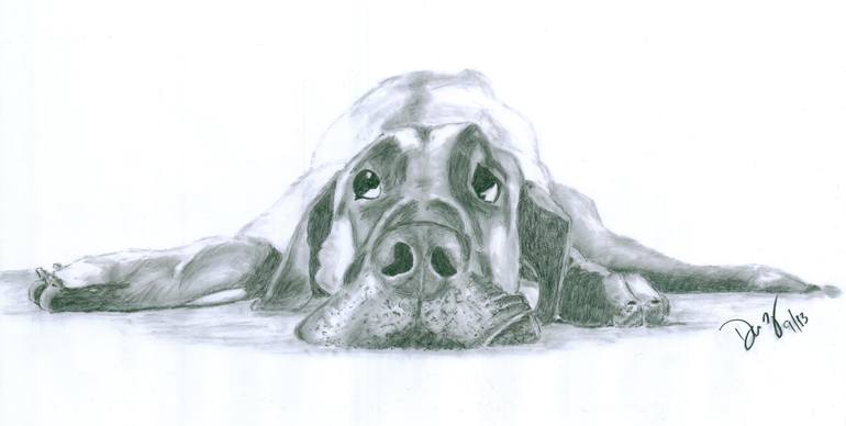Dog Tired Drawing by Darren Booth | Saatchi Art
