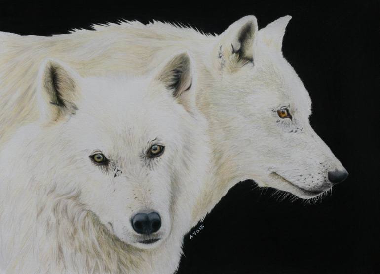White Wolves Drawing by Abigail Jones | Saatchi Art