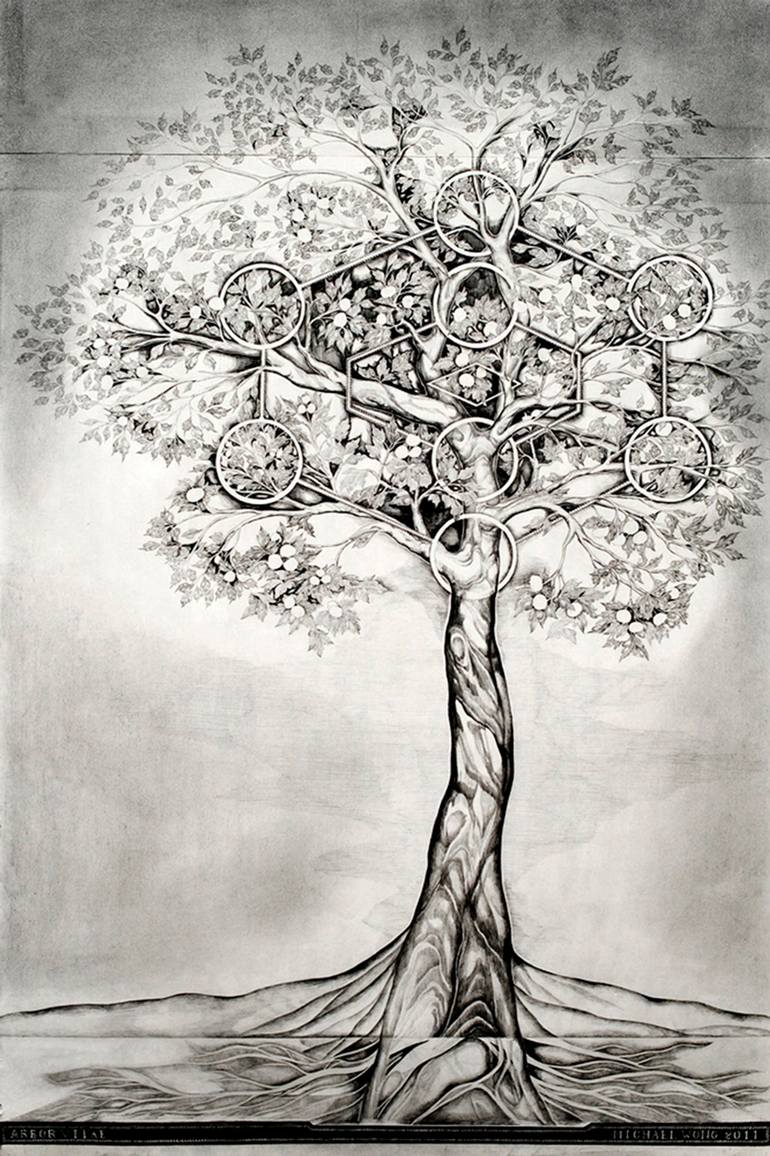 Arbor Vitae Drawing by Michael Wong | Saatchi Art