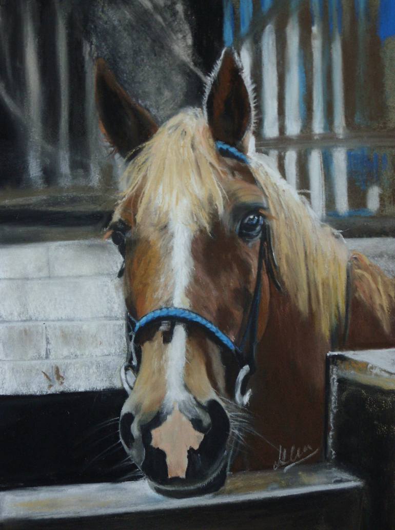 Portrait of Gringo Drawing by Jo-anne Clarke | Saatchi Art