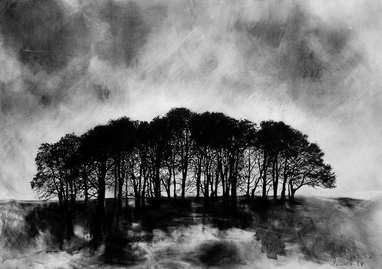 Chicklade Copse Drawing by Paul West | Saatchi Art