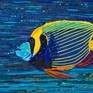 The emperor Angel fish Collage by ARUNA MENE | Saatchi Art