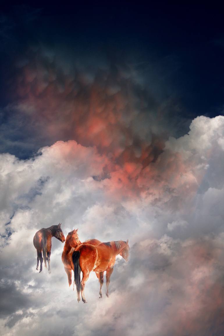 Sky Horses Photography by Lu Anne Tyrrell | Saatchi Art