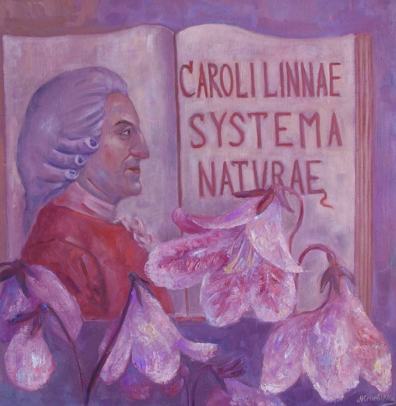Carl Linnaeus and linnaea Painting by Nadezda Krivohizina | Saatchi Art