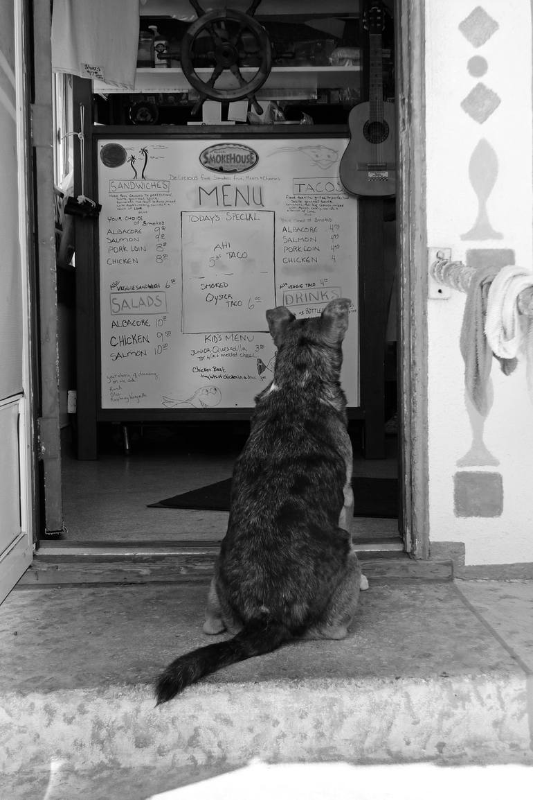 Mahi-mahi, sweet Mahi-mahi Photography by Luca Bartolini | Saatchi Art