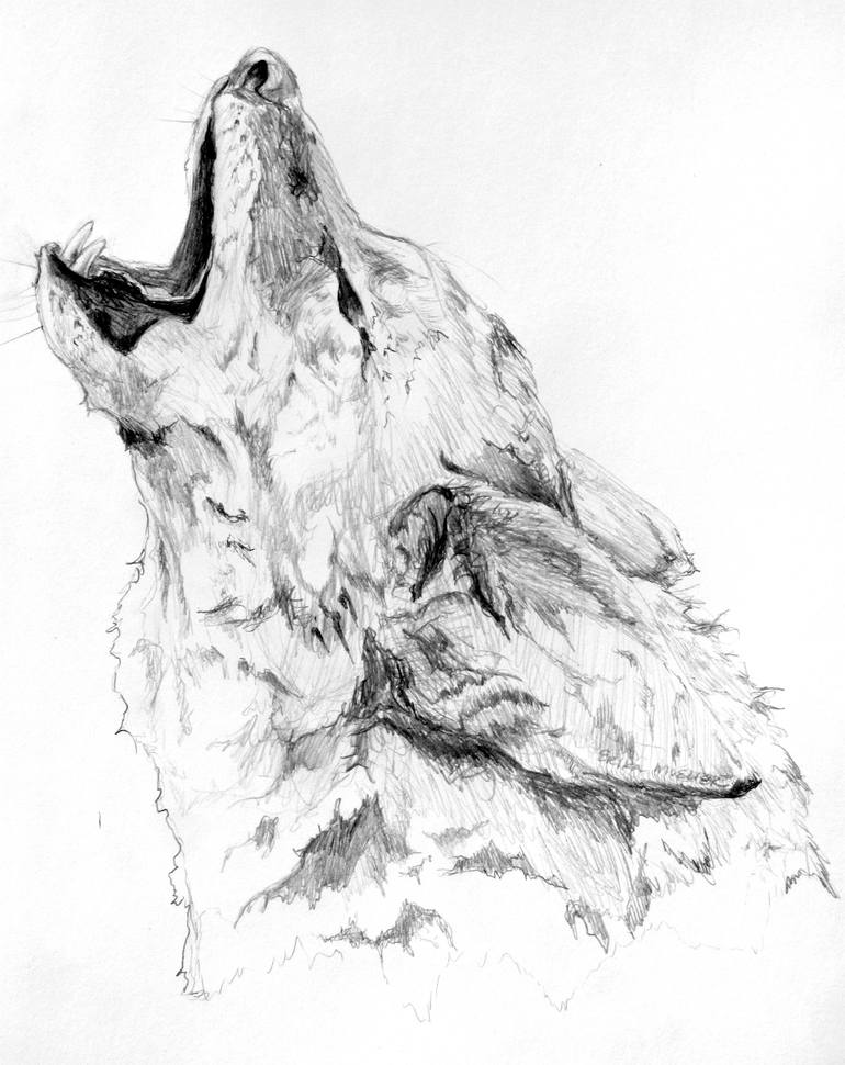 Howl Drawing by Erika Nicole | Saatchi Art
