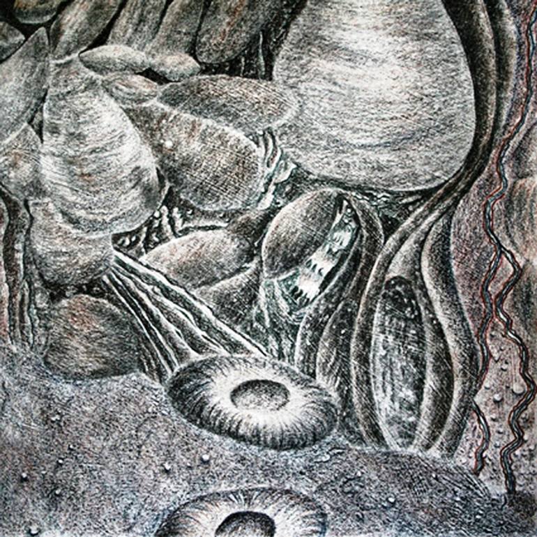 Rockpool 10 Drawing by Julie Meese | Saatchi Art