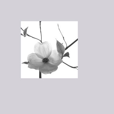 Adam Holtzman Artworks | Saatchi Art