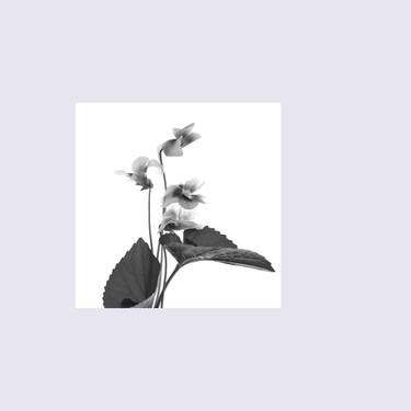 Adam Holtzman Artworks | Saatchi Art