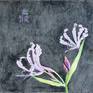 Nerine bowdenii Drawing by Sally Arnold | Saatchi Art