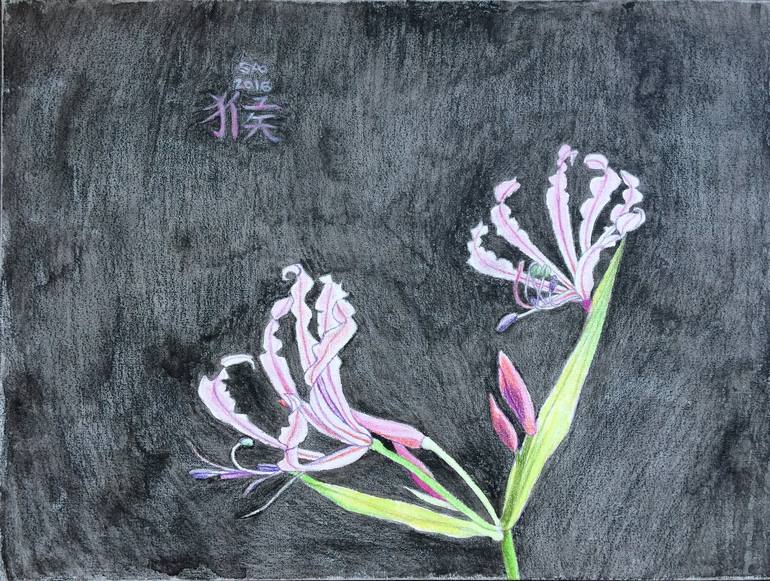 Nerine bowdenii Drawing by Sally Arnold | Saatchi Art