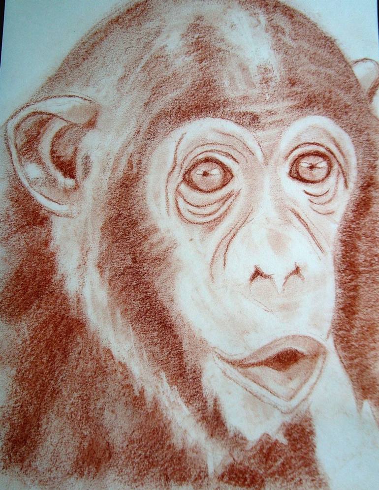 Ape Drawing by Andrey Volkov | Saatchi Art