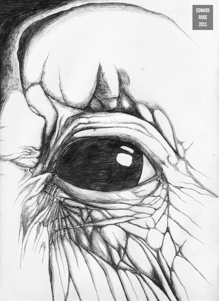 Everybody Knows Drawing by Edward Rose | Saatchi Art