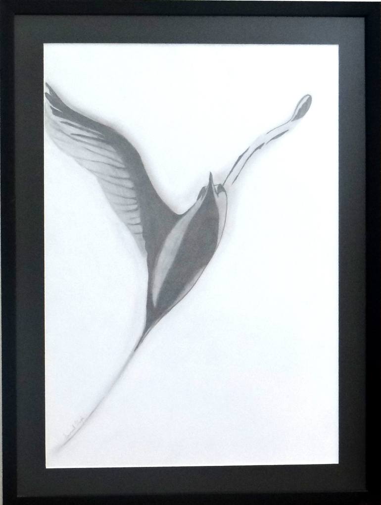 Fly High Drawing by Savneet Khangura | Saatchi Art