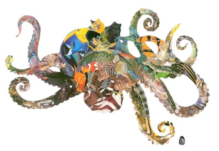 Octofish Collage by Burry Buermans | Saatchi Art