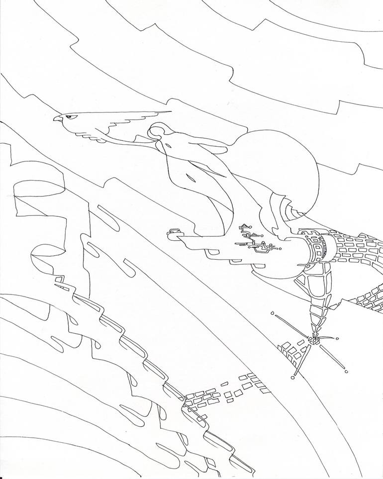 BirdEye Drawing by Radfax Radfax | Saatchi Art