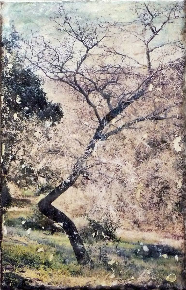 Meritorious, (#2/25) Collage by Nicole Fournier | Saatchi Art