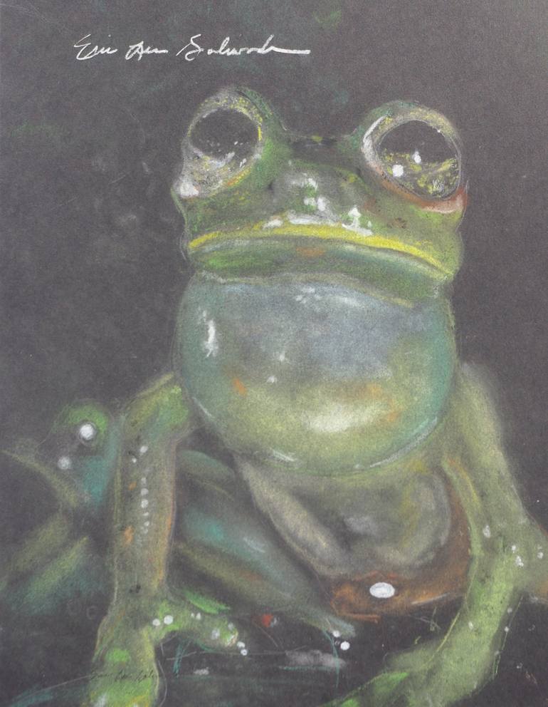 Feeling froggy? Drawing by eric soliwoda | Saatchi Art