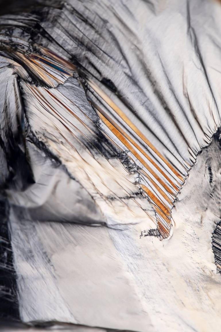 Split - Limited Edition of 5 Photography by Sergey Tolmachev | Saatchi Art