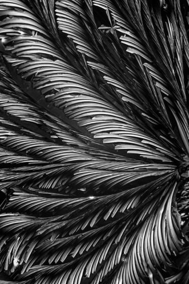 Sergey Tolmachev Artworks | Saatchi Art