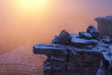 Robert Stein Artworks | Saatchi Art