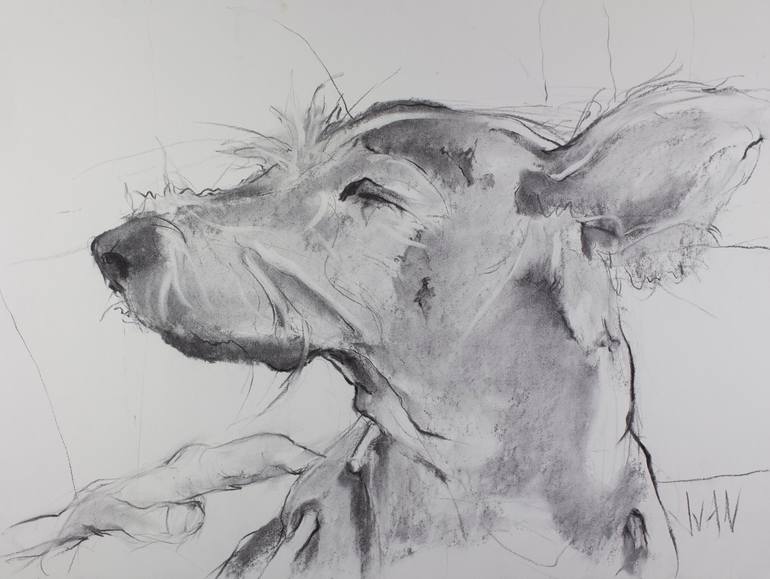 Dog Injured 02 Drawing by Juan Lopez-Bonilla | Saatchi Art