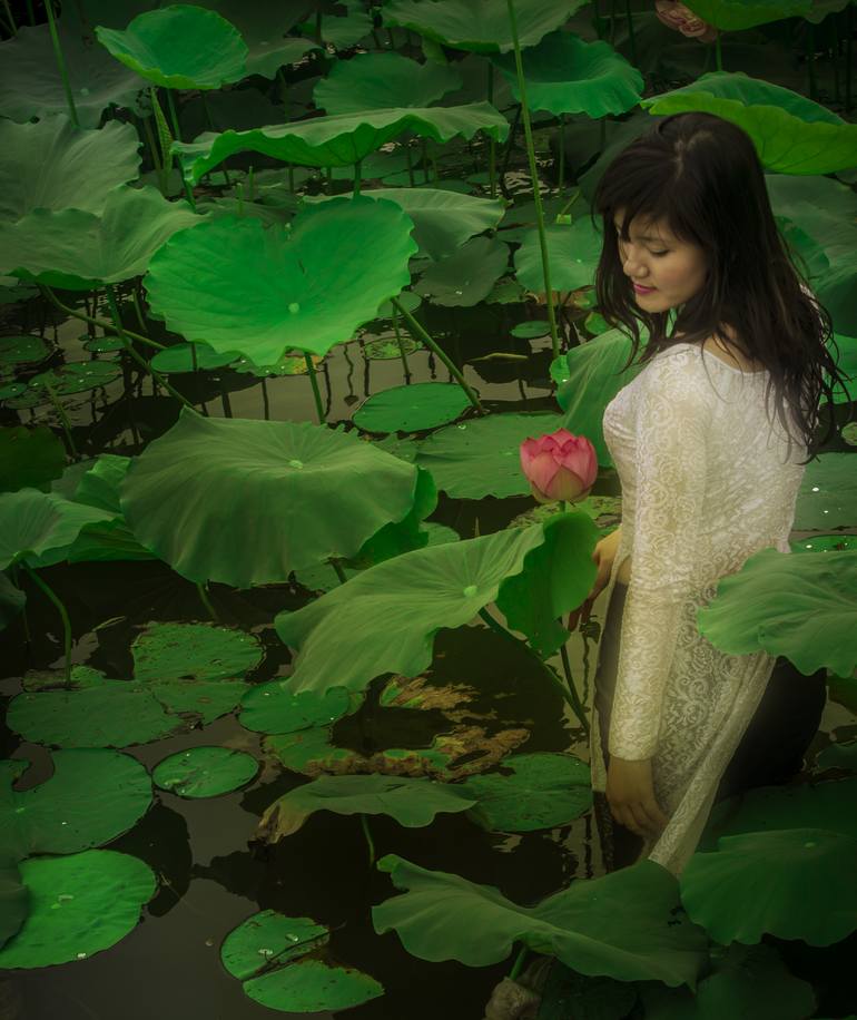 The Lotus Woman - Limited Edition of 10 Photography by Viet Ha Tran ...