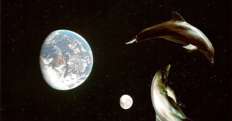 ACROBATICS Collage by Roberto Oscar Gasperi | Saatchi Art