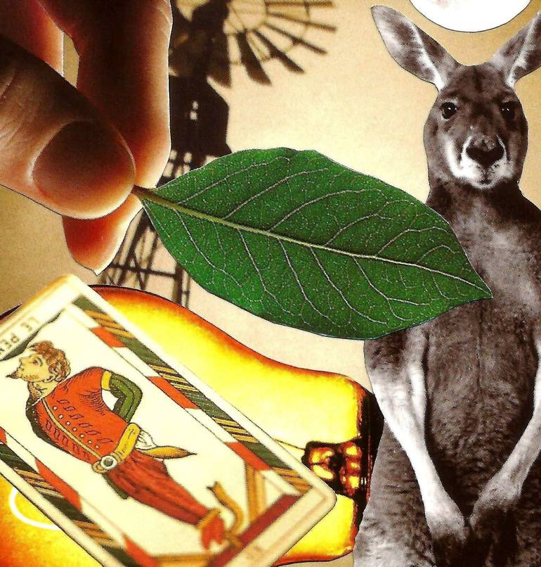 KANGAROO Collage by Roberto Oscar Gasperi | Saatchi Art