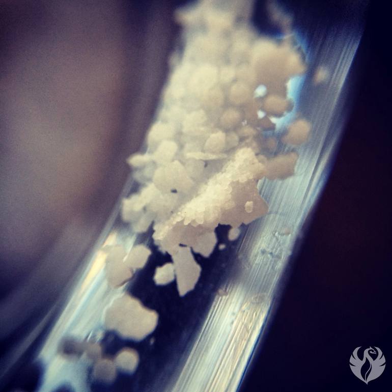 Shapes of Salt Photography by Amalia Maloney | Saatchi Art