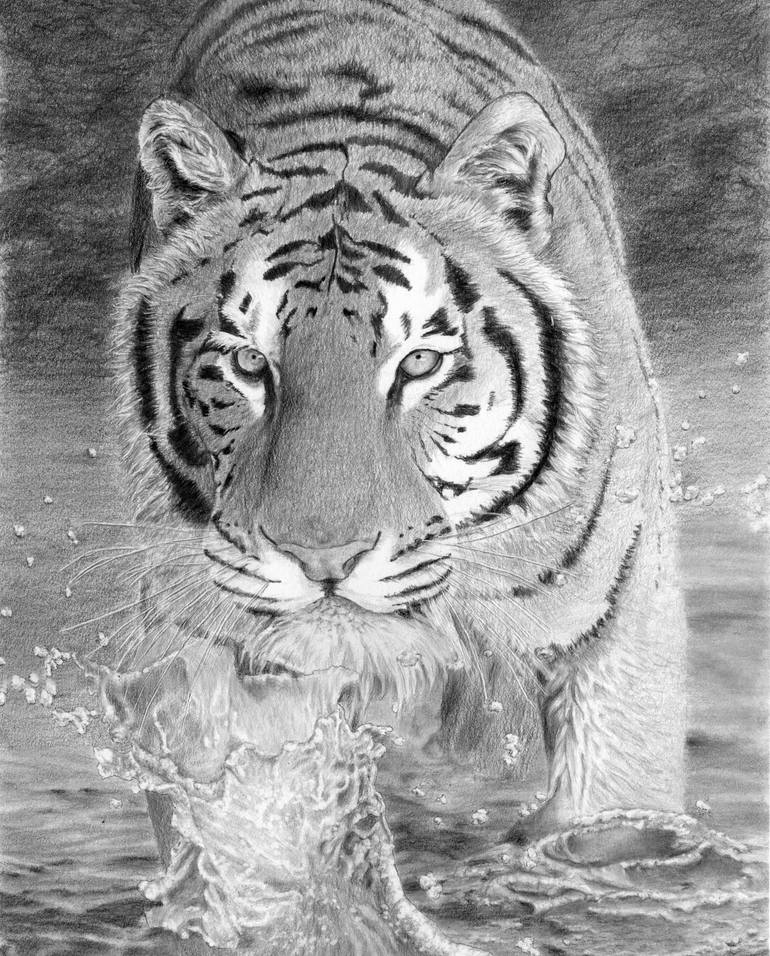 Tiger Crossing River Drawing by Ronny Hart | Saatchi Art