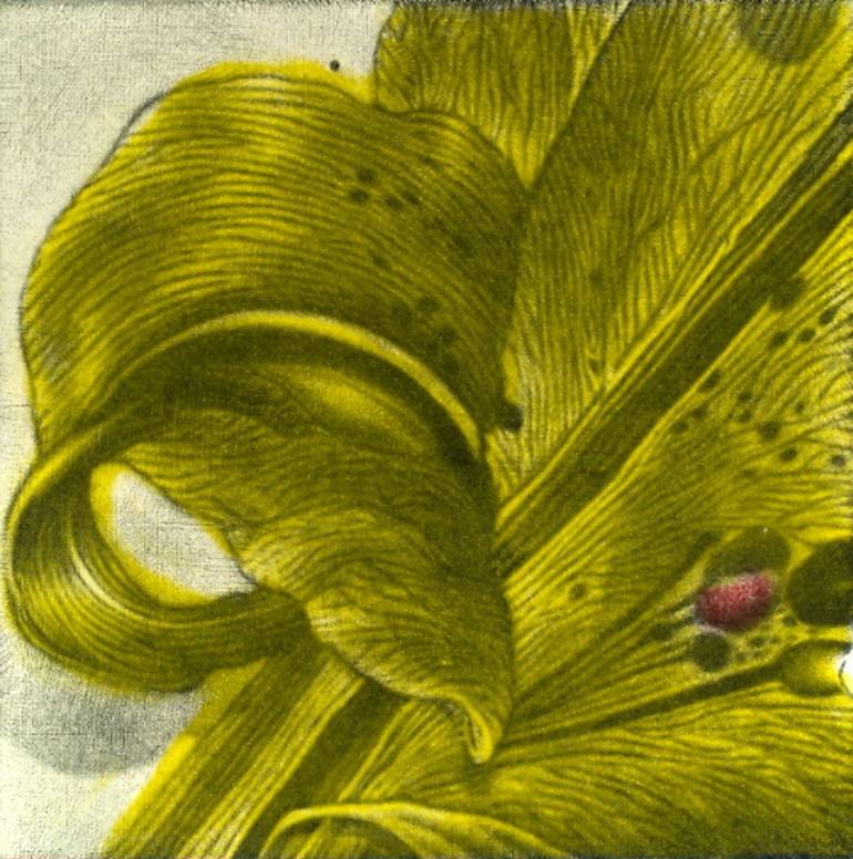 Lily miracle flower Printmaking by Maja Ilic | Saatchi Art