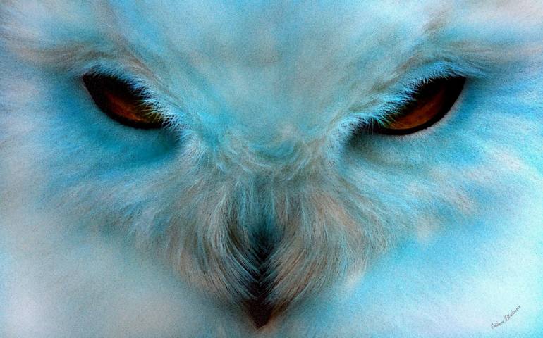 Frozen Stare Painting by Shawn Blackmore | Saatchi Art